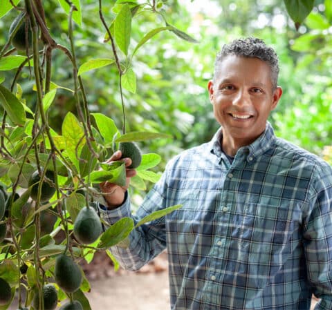 Journey | Calavo Growers