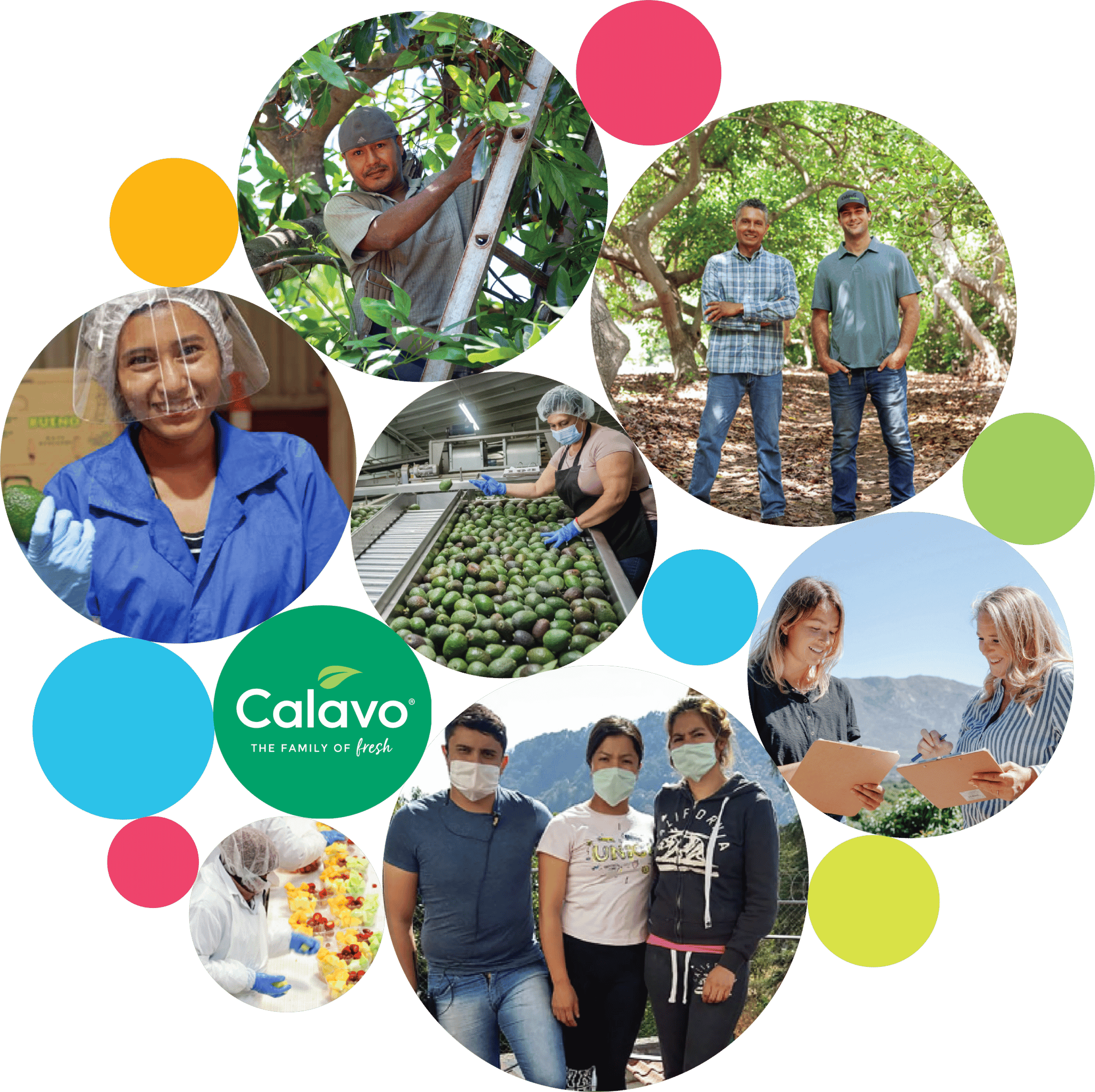 Our People | Calavo Growers
