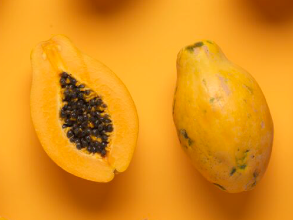 Home | Calavo Growers