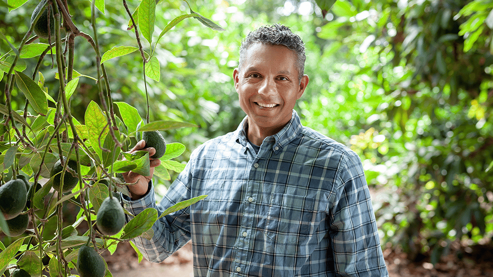 Careers | Calavo Growers