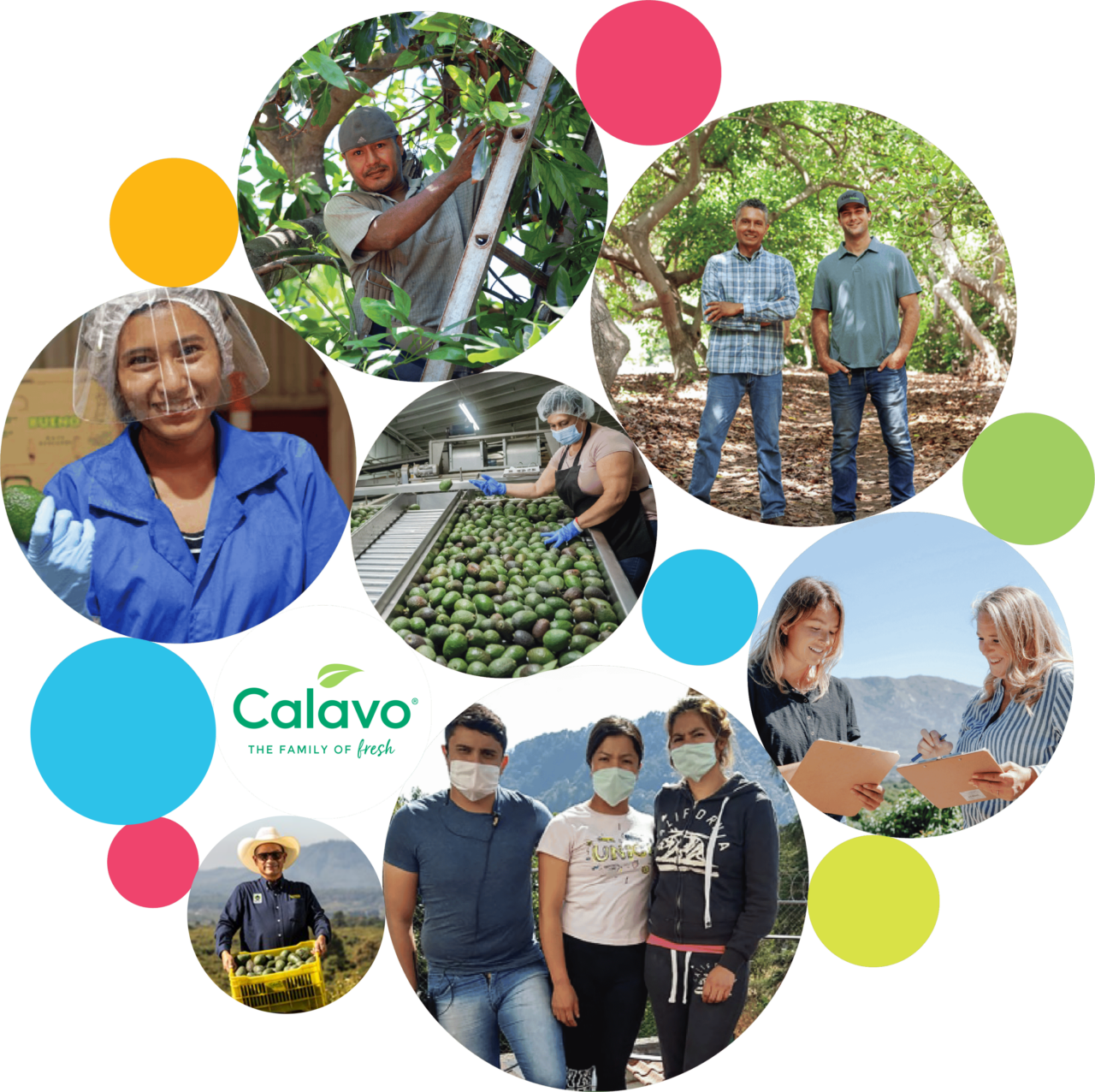 Our People | Calavo Growers