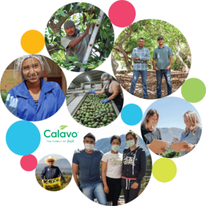 Our People | Calavo Growers
